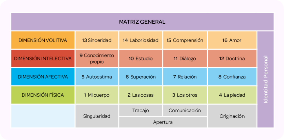 Plan de formación DAIP | Fundamentación - Plan de Acción Tutorial
